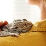 The Aviary Recovery Center | St. Louis Drug and Alcohol Rehab